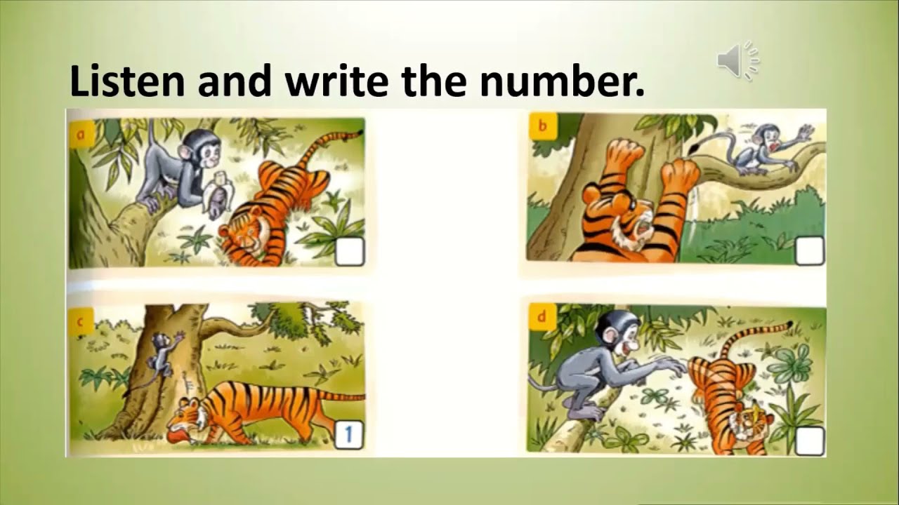 Unit 5: A funny monkey! Lesson 6