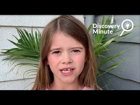 How many days should kids with pneumonia take antibiotics for? - CHEO Discovery Minute
