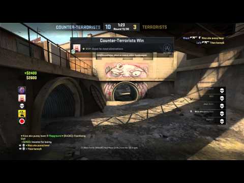 Steam Community :: Video :: Weird/Hilarious Frenchie Game CS:GO
