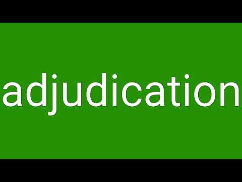 Adjudication Definition & Meaning