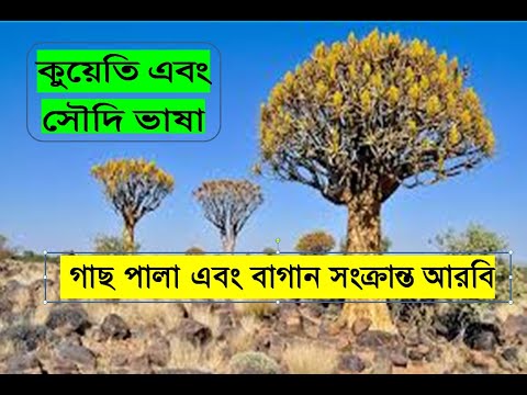 Tree & Plants Related Words Meaning In Arabic To Bangla l Spoken Arabic Classes l Heaven Touch