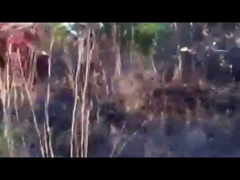 Steam Community :: Video :: Going in the woods pt 1