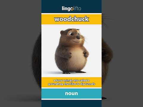 🇬🇧 Woodchuck Meaning : Flash Card : Learn English Vocabulary