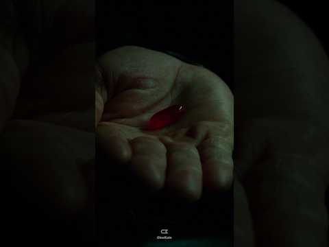 Red Pill or Blue Pill? | The Matrix (1999)