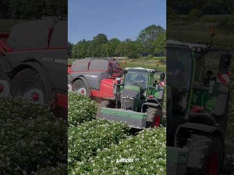 Im Einsatz eine Horsch Leeb 12 TD mit einem 39m Gestänge. Gezogen von einem Fendt Vario 728 Profit.