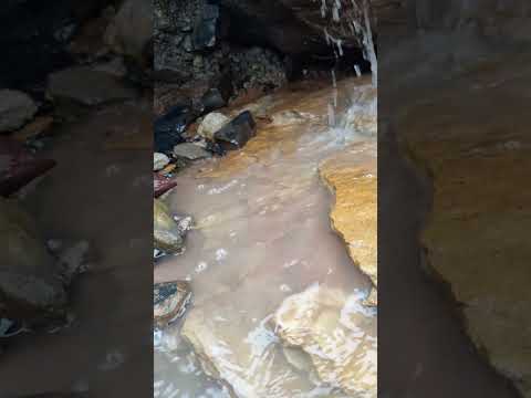 #funnyvideo #piparwar#chatra#jaijharkhand