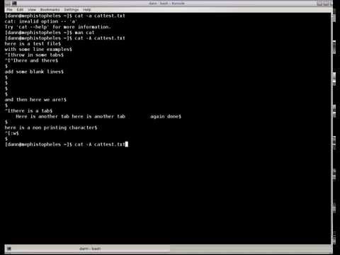 Cat Command in Linux ( Tutorial )