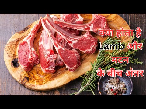 Difference between Lamb and Mutton In Hindi - लाम्ब और बकरी के बीच अंतर