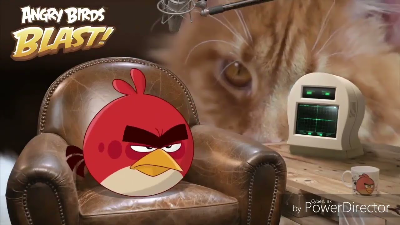 (REUPLOAD) Angry Birds Blast App Store Chat