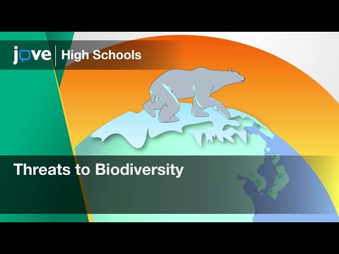 Threats to Biodiversity | Bio | Video Textbooks - Preview