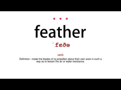 How to pronounce feather - Vocab Today