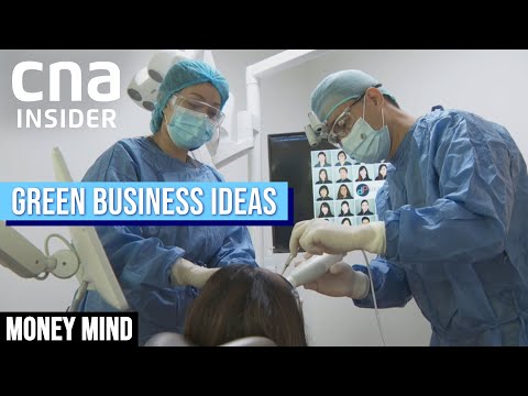 Singapore Budget 2022: SMEs' Wishlist For Greener Businesses | Money Mind