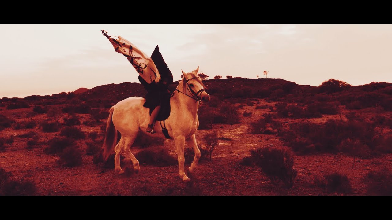 Newsflesh #3 (112) / 2024 | Chaos Vault