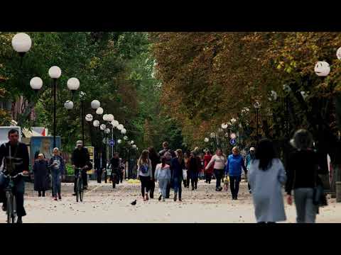 People, Copyright Free Video, Motion Graphics, Background Video