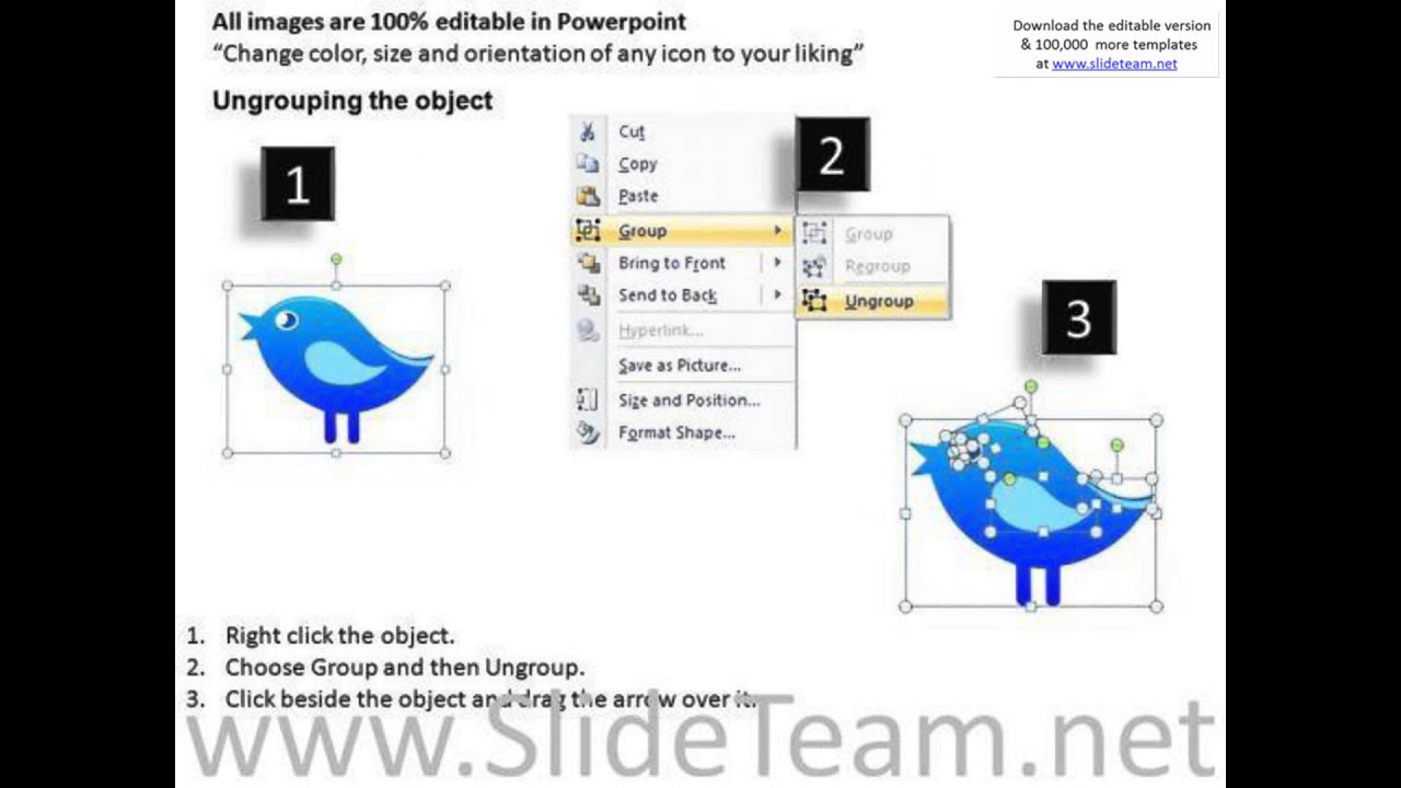 twitter social media icons powerpoint slides and ppt diagram templates presentation infographics sli