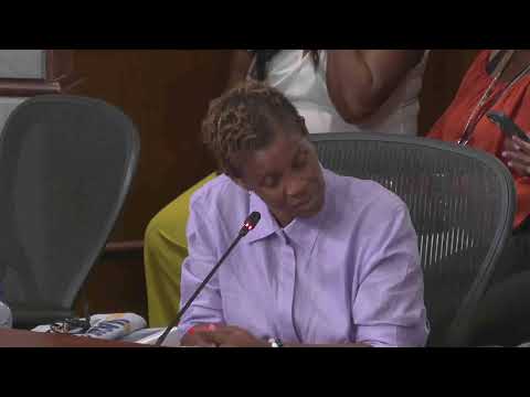Birmingham City Council Meeting 5.20.25