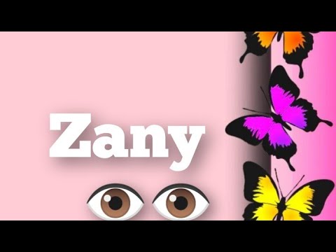 Zany meaning
