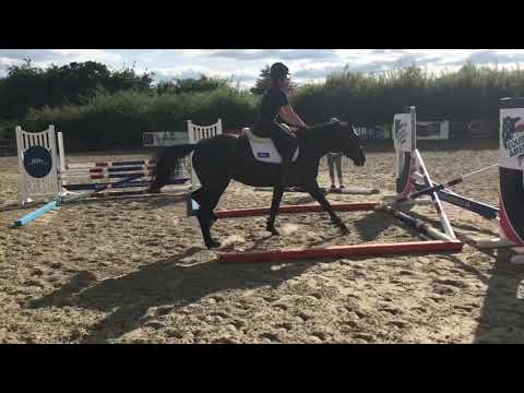 The Billy Stud Auction | 5. Billy Voss