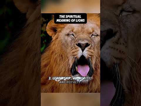 Spiritual Meaning of Lions #spiritanimal #lionmedicine #lion #shorts #spiritualmeaningoflion #lions