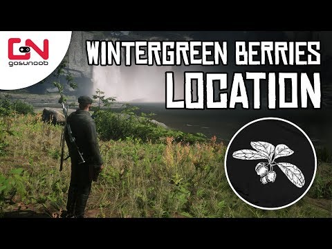 Rdr2 online wintergreen berry