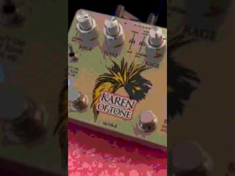 Eddie Rifkind Karen Of Tone 2023 Champagne | Reverb