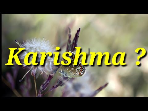 Karishma Name Status | Karishma Name Meaning | Karishma Name WhatsApp Status | Magic of Name