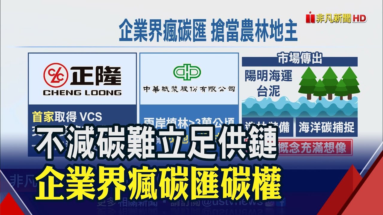 全球邁淨零永續!企業界瘋碳匯.碳權挑戰多 | 產經 | 非凡新聞