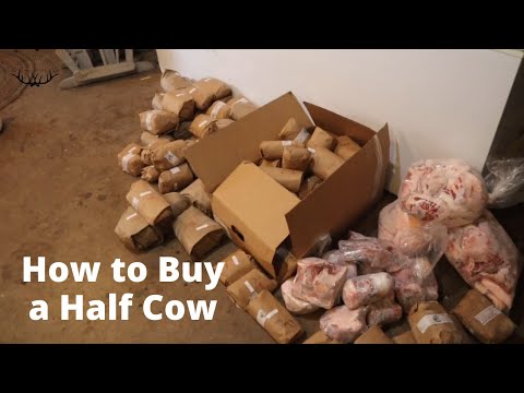 What Cuts are in Half a Cow When I Buy from a Farmer? (Weights, Cuts, Prices and Freezer Space)