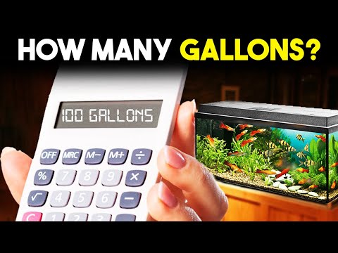 Aquarium Volume Calculator: How Many Gallons Can Your Tank Hold?