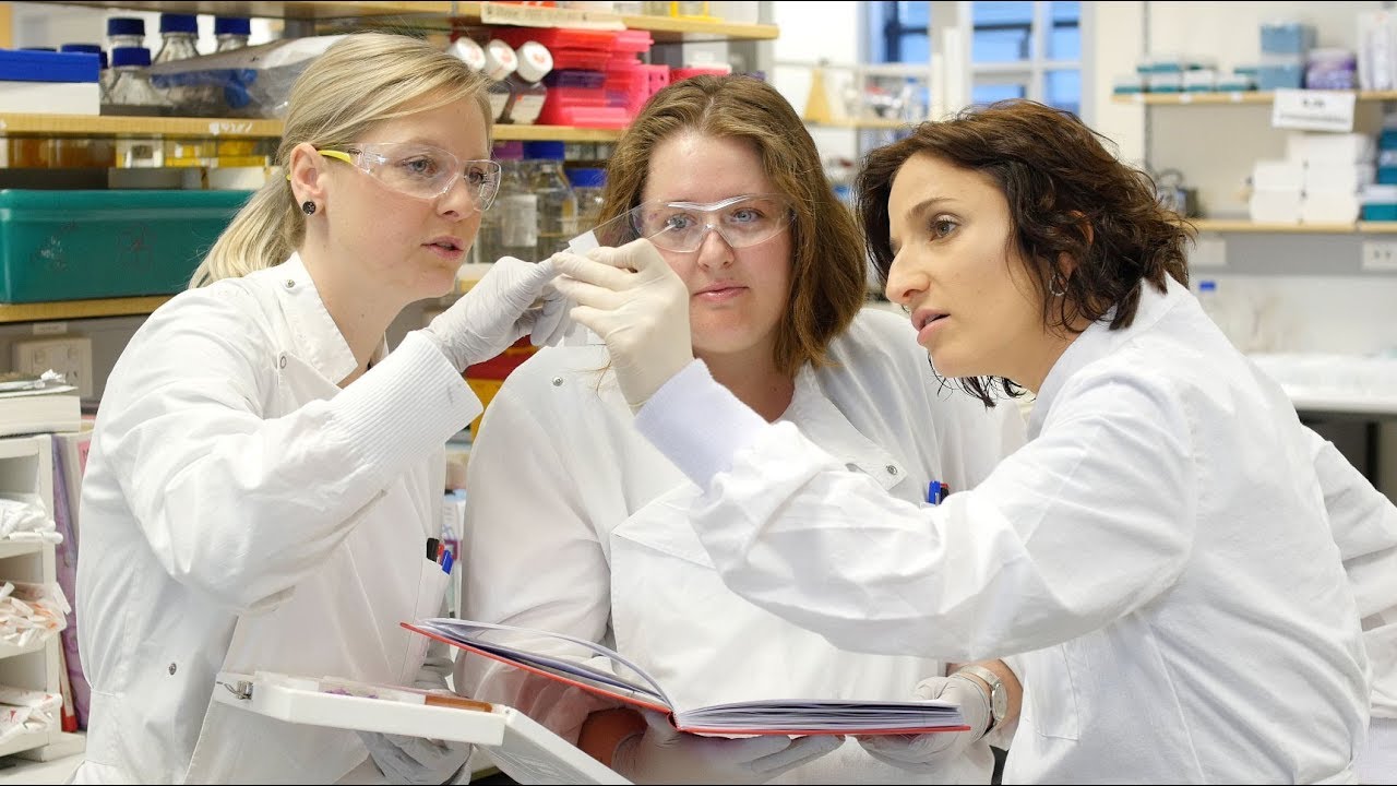 Potential treatment for brain cancer as drug shrinks tumours