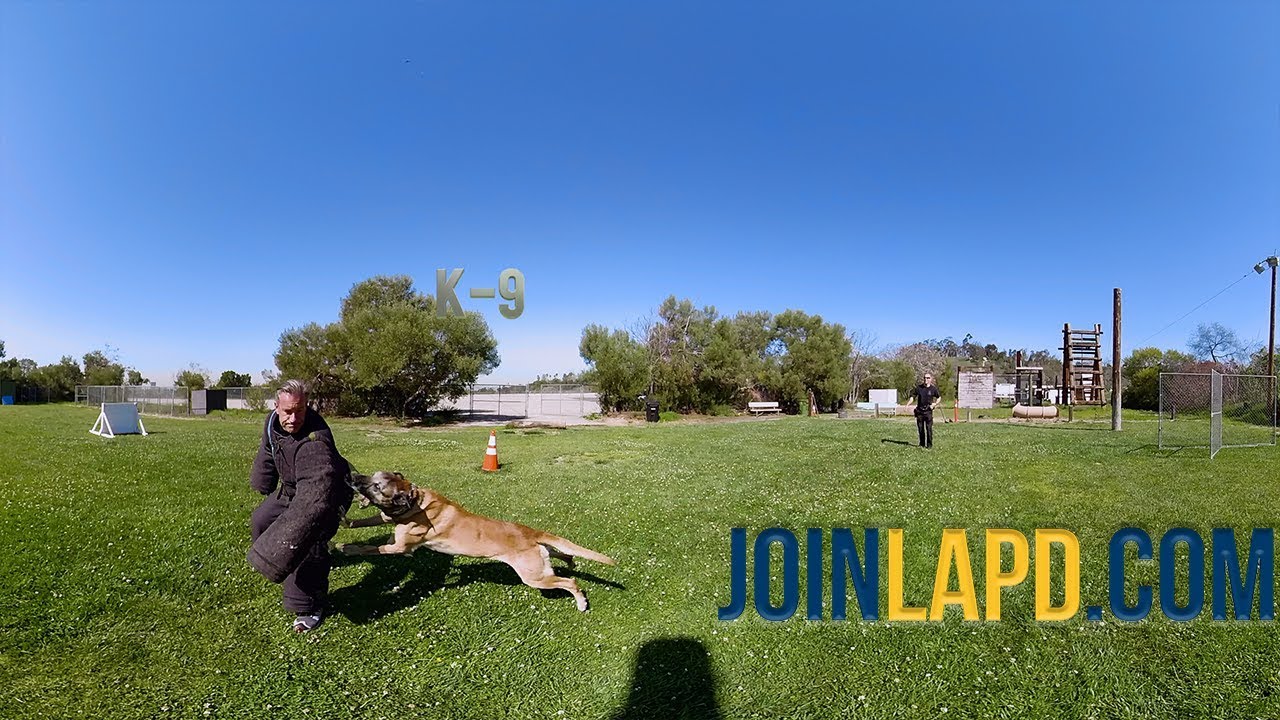 LAPD VR K9 Extended