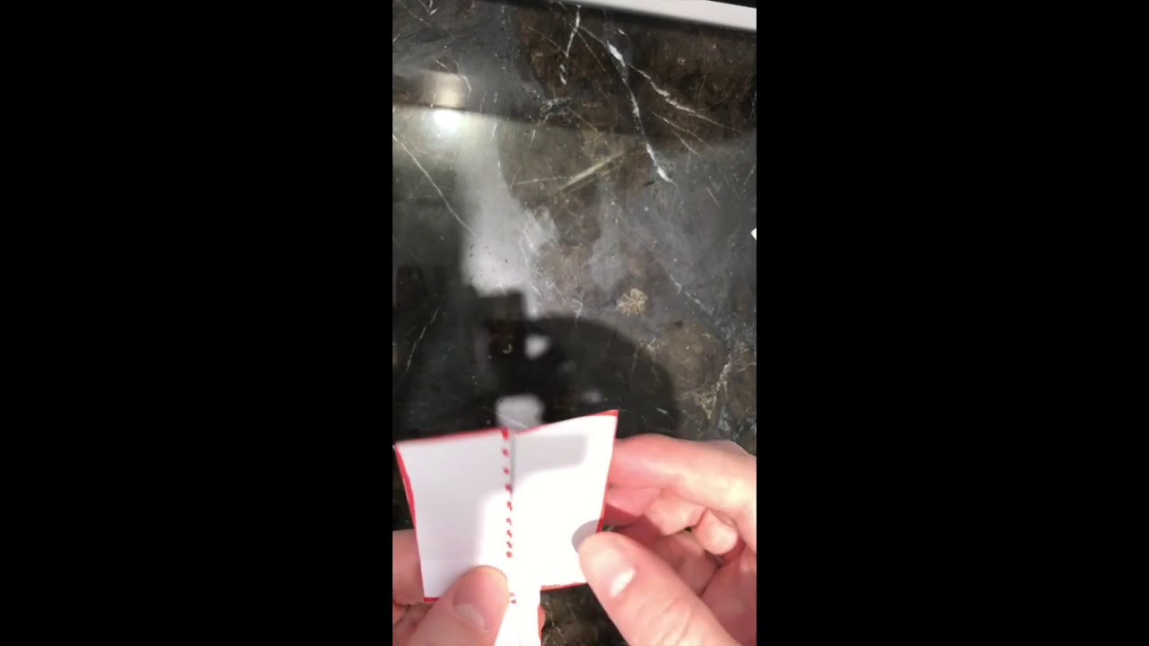 Science Activity - How to Make a Whirly Bird
