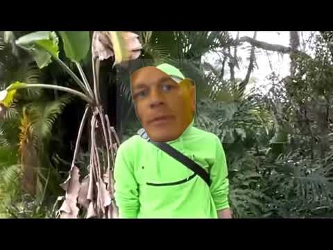 Dream face reveal meme