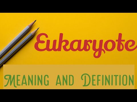 What is Eukaryote? ||| Eukaryotic cells ||| Meaning and Definition of Eukaryote ||| Biology
