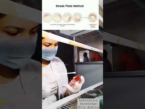Microbiology "streak plate method" #microbiology #laboratory #microscopy #lab #labtechniciancourse