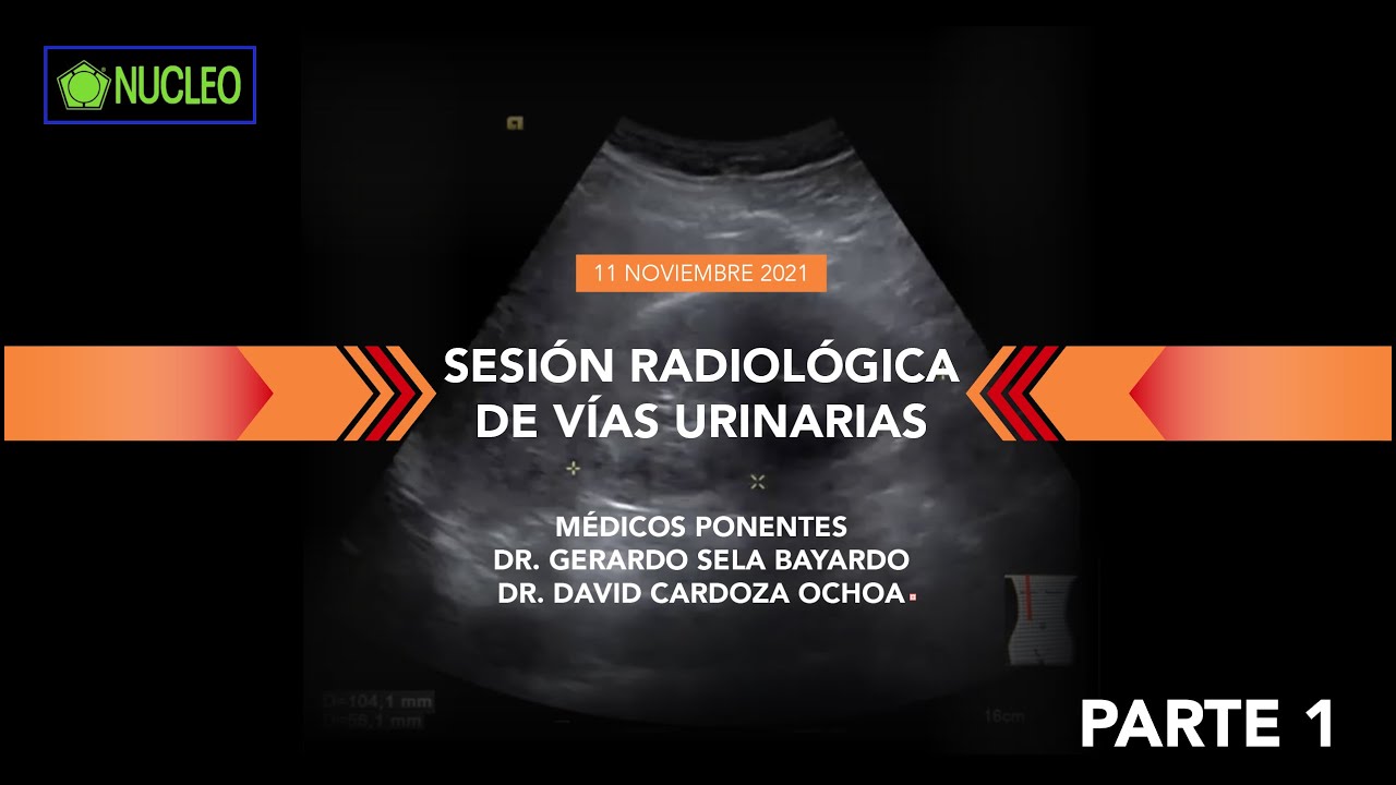 SESIÓN RADIOLÓGICA DE VÍAS URINARIAS - PARTE 1 DE 2