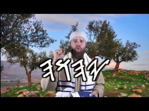 Torah "Tree of Life"