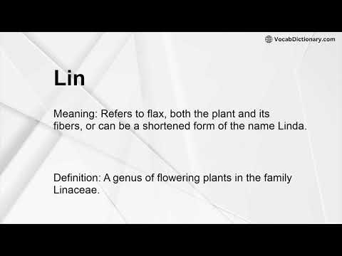 Lin Meaning