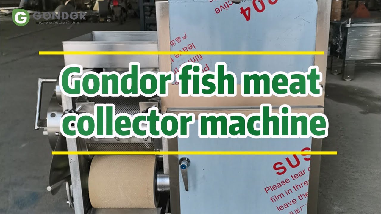 Gondor Fish Deboning Machine | Professional Fish Meat Separator for Processing  #meatprocessing