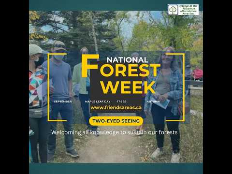 Celebrating the Success of National Forest Week: Together for Our Green ...