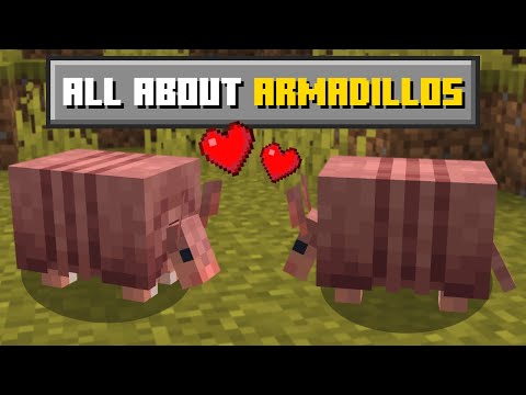 How to FIND and BREED ARMADILLOS in Minecraft! Full Armadillo Guide - Armored Paws Drop
