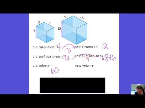 12.8 Scale Factor