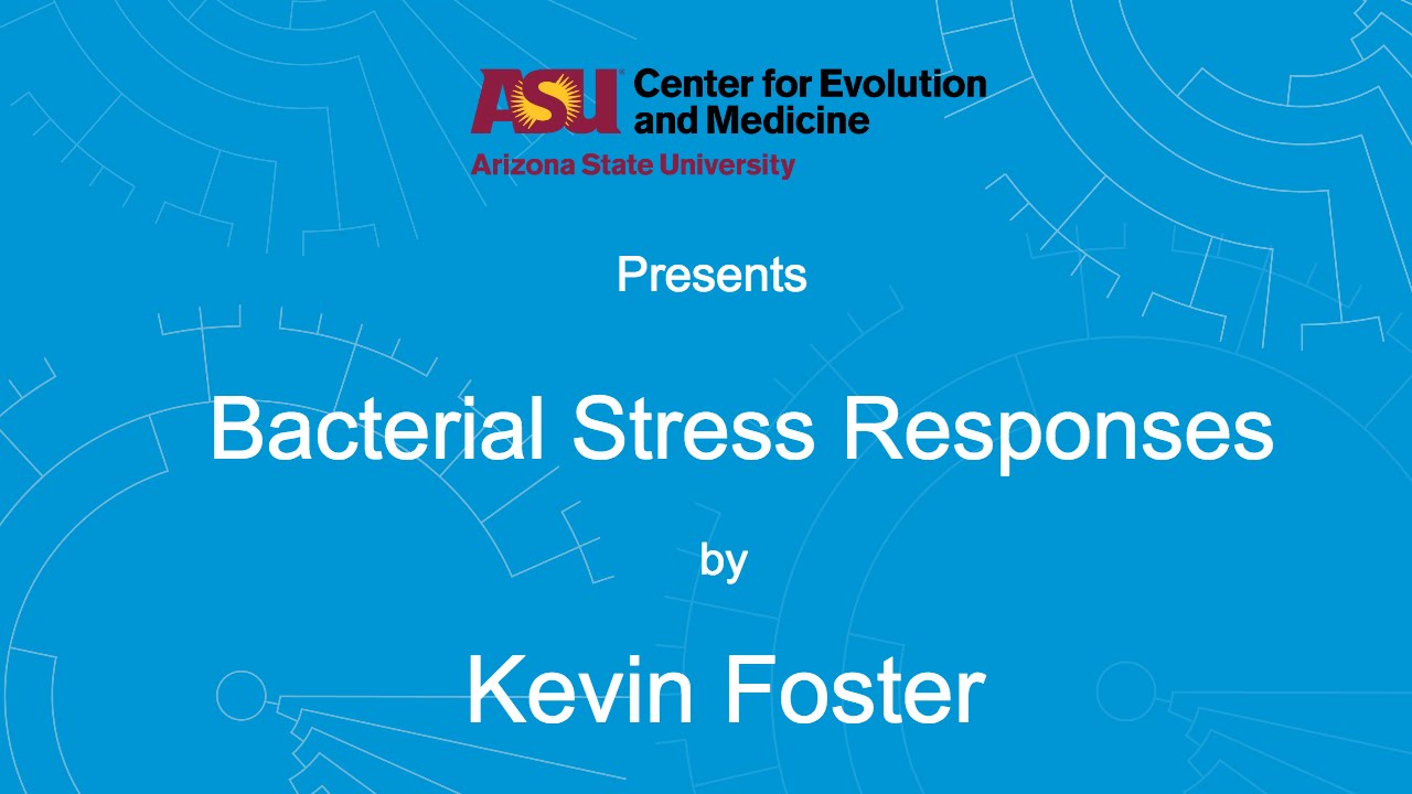 Bacterial Stress Responses | Kevin Foster