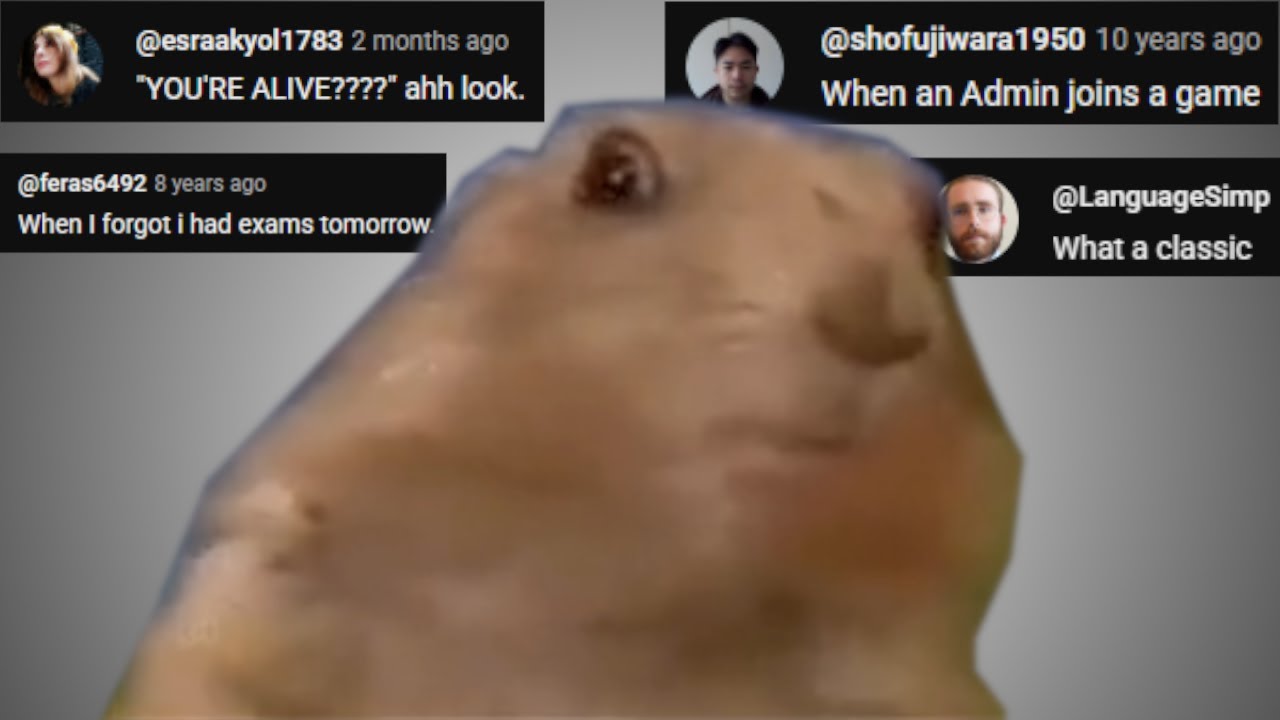 DRAMATIC LOOK - Chat Music