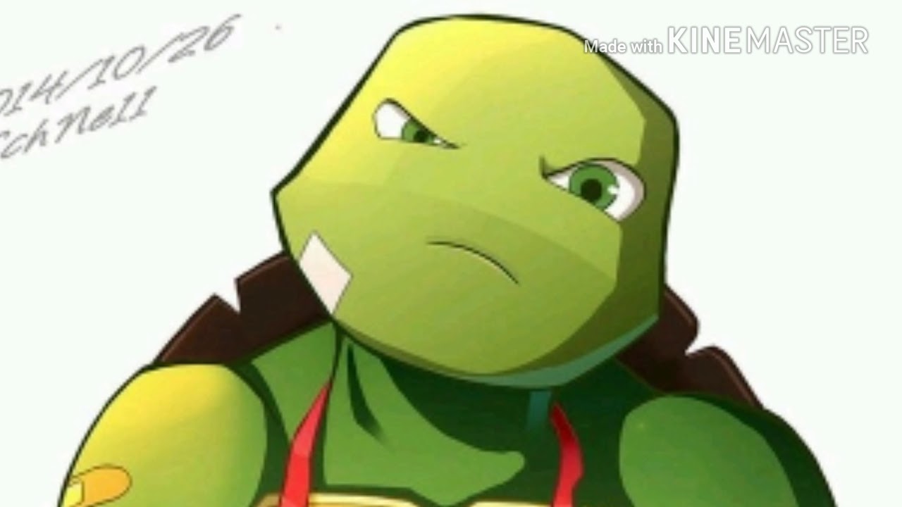 Raphael Hamato Tribute