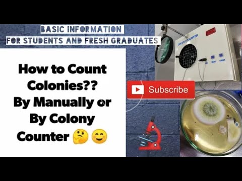 Digital Colony Counter - Electronic Colony Counter Latest Price ...