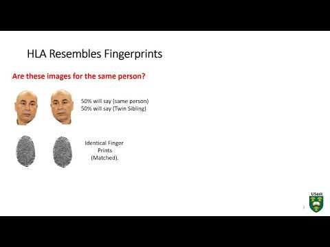 What is HLA 1