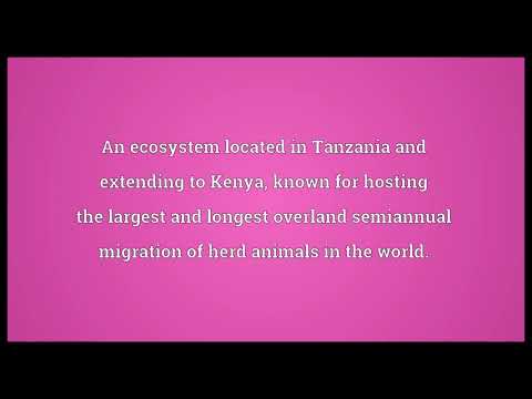 Serengeti Meaning