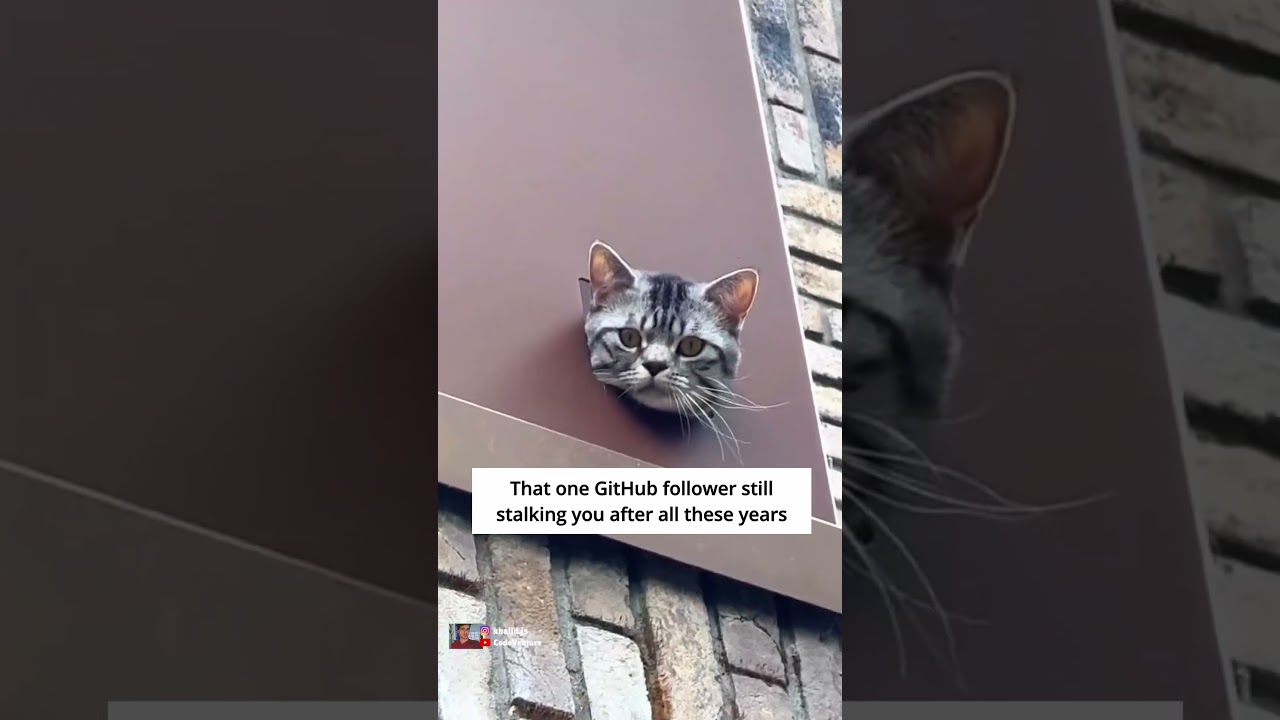 Silent GitHub Watcher #coding #programming #javascript #python