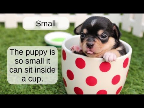Supercut 23 Trailer (Various)- English word pronunciation with pictures